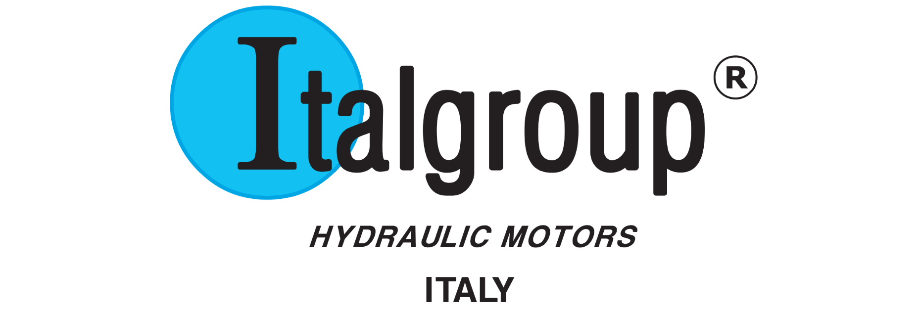 Hydraulic ITALGroup Motors